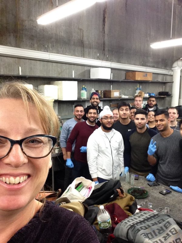 Ecotoxicology (“Worm Lab”) – NCSCE.net